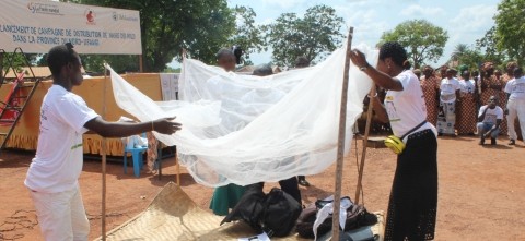 Battling Malaria: IMA World Health’s dedicated efforts in the DRC ...